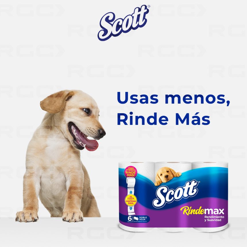 Papel Higiénico Scott Rindemax - 6 rollos de 22 metros - RGC Distribución